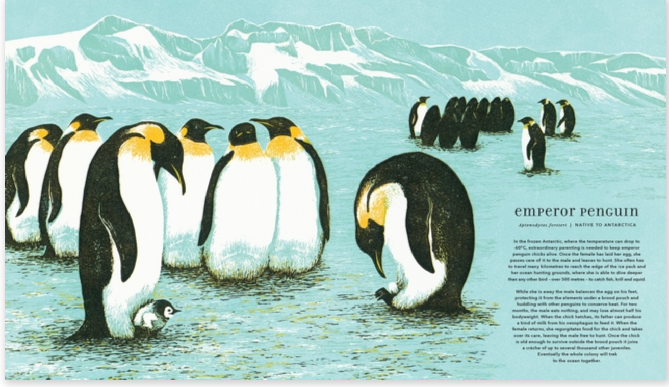 How to Find the Best Illustrators for Your Children’s Picture Book