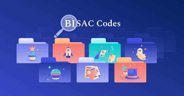 How to Use BISAC Codes to Increase Your Book's Visibility on Amazon