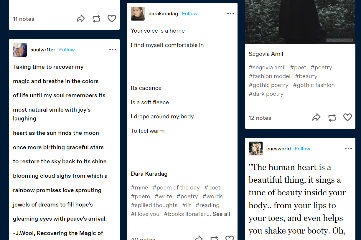 How to Publish a Poetry Book: A Simple Guide to Publishing Poems