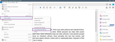 How to Make a Print-Ready PDF for Your Book
