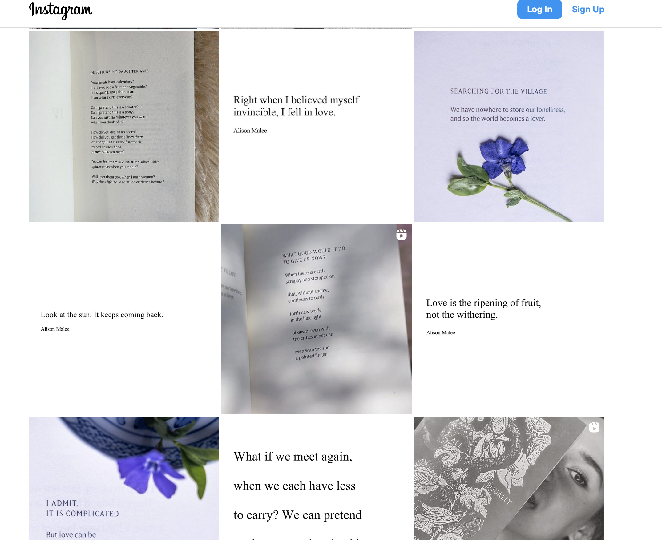 Influencers Transitioning from Social Media to the Literary World