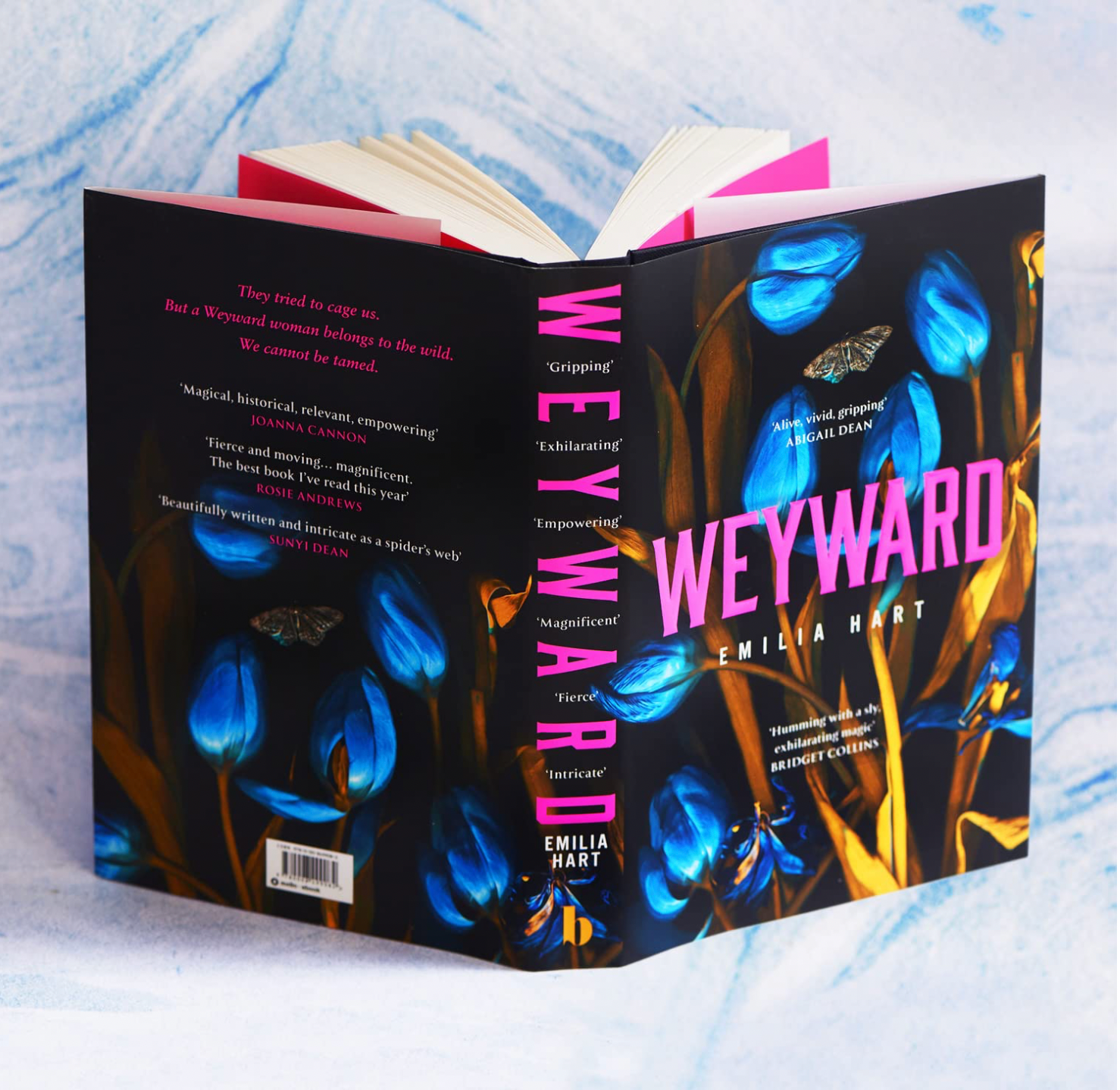Blurb Examples to Get You Inspired